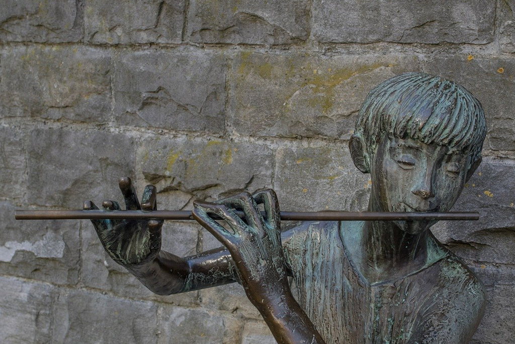 vloot-roeiboot-flierefluiter - BWV de Eem