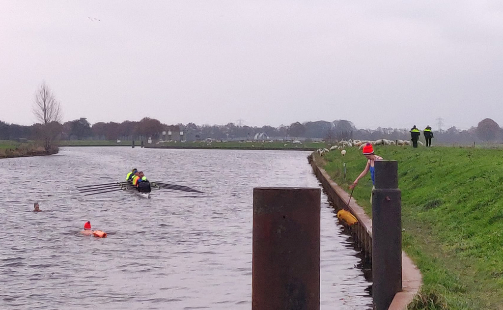 Een Acht Losgebroken Schapen Agenten En Zwemmers BWV De Eem