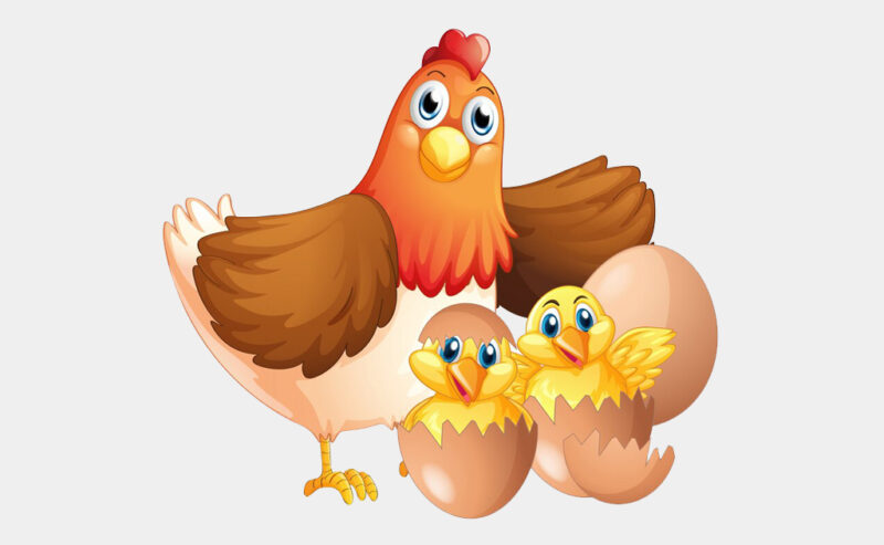 vloot-roeiboot-kloek - BWV de Eem